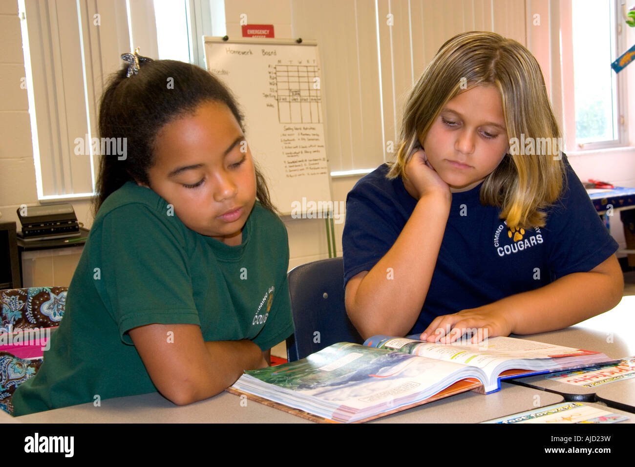 Fourth grade students read a textbook in a classroom at a public school ...