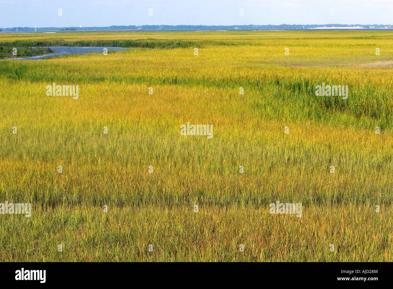 Inland marsh hi-res stock photography and images - Alamy