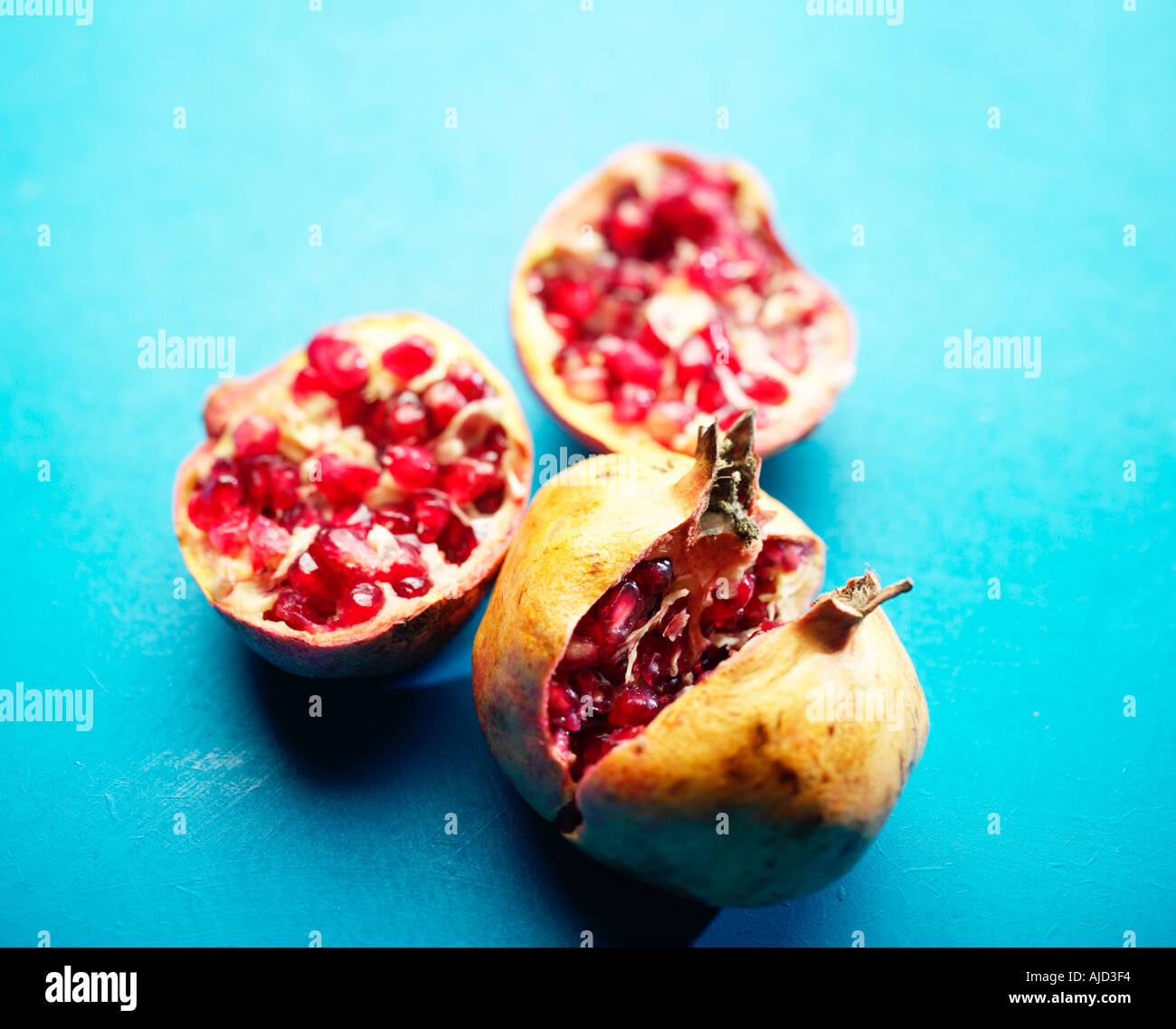 Pomegranate native from Iran to the Himalayas in northern India Stock ...