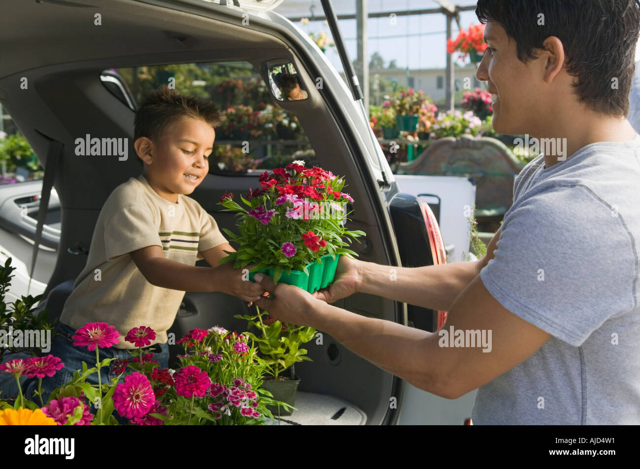 Father passing flowers to son in back of minivan at plant nursery Stock ...