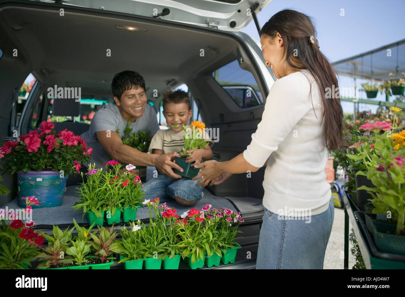 Man loading flowers hi-res stock photography and images - Alamy