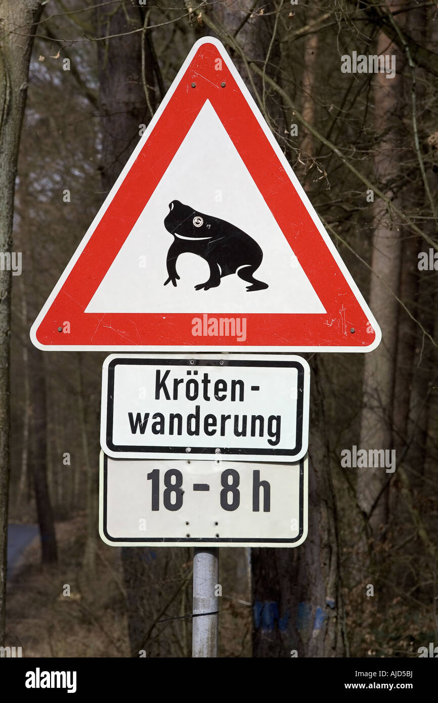 traffic sign toad migration, Germany, North Rhine-Westphalia Stock ...