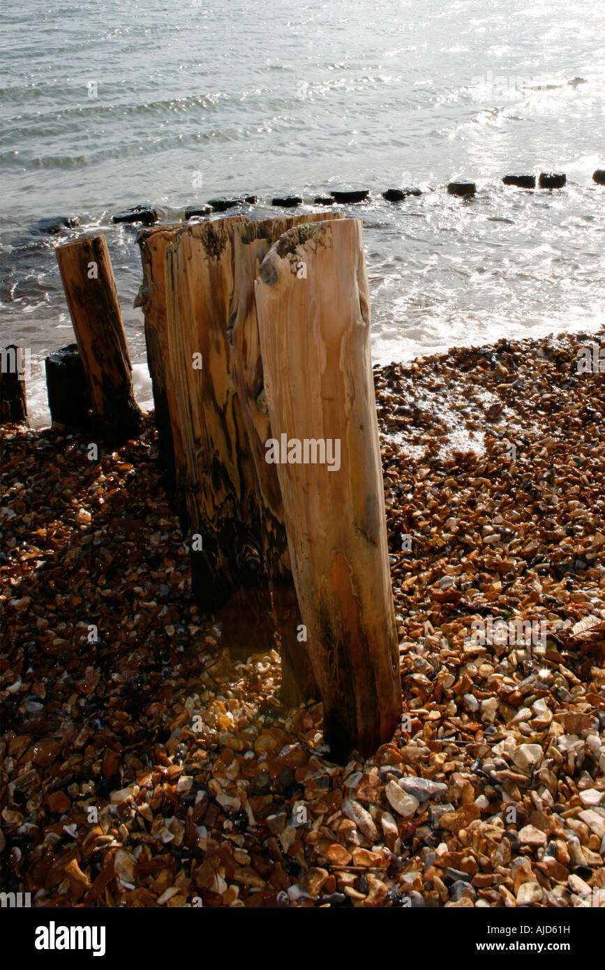 A wooden groyne set against an imposing stormy sky at Calshot Spit ...