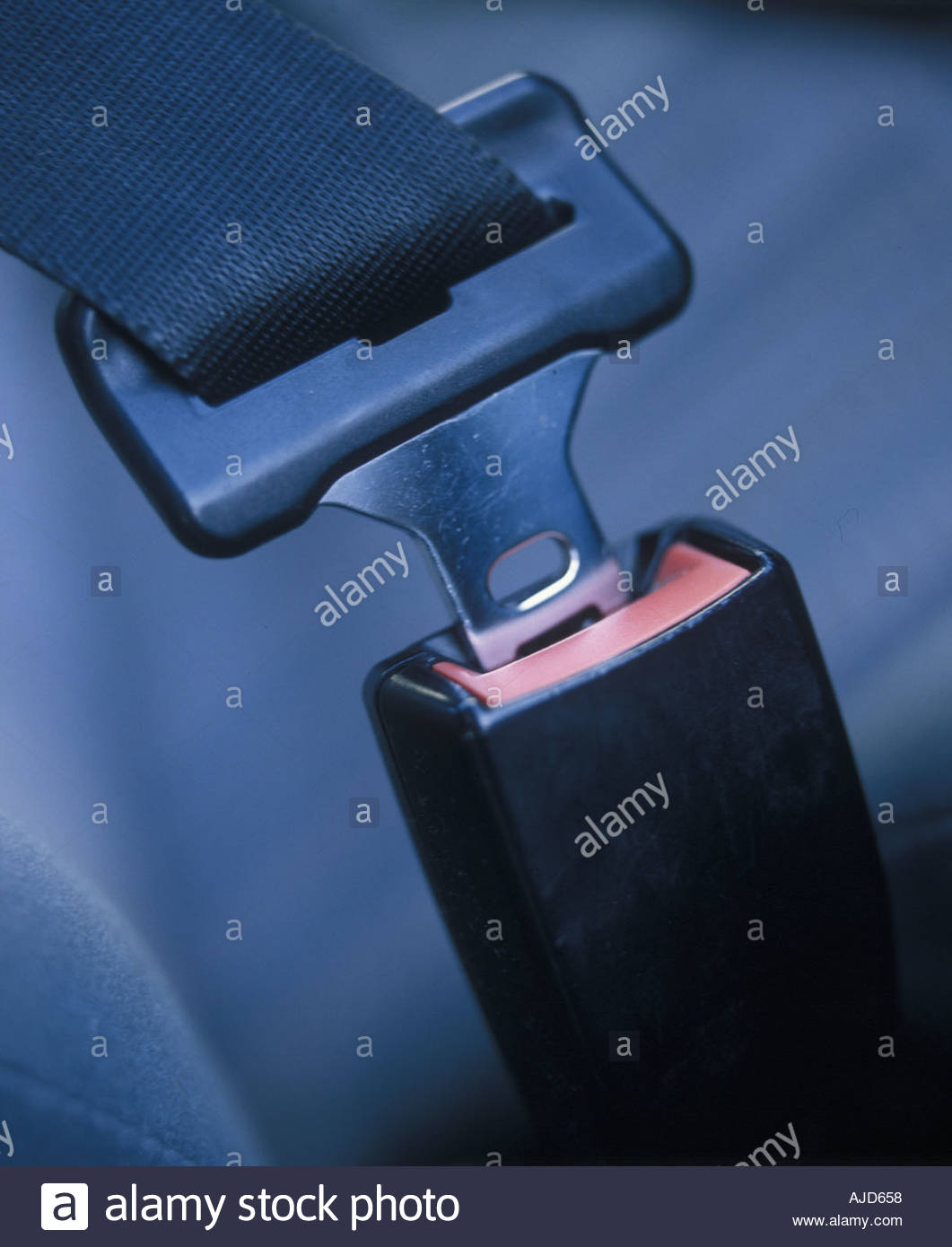 Shelter Belt Stock Photos & Shelter Belt Stock Images - Alamy