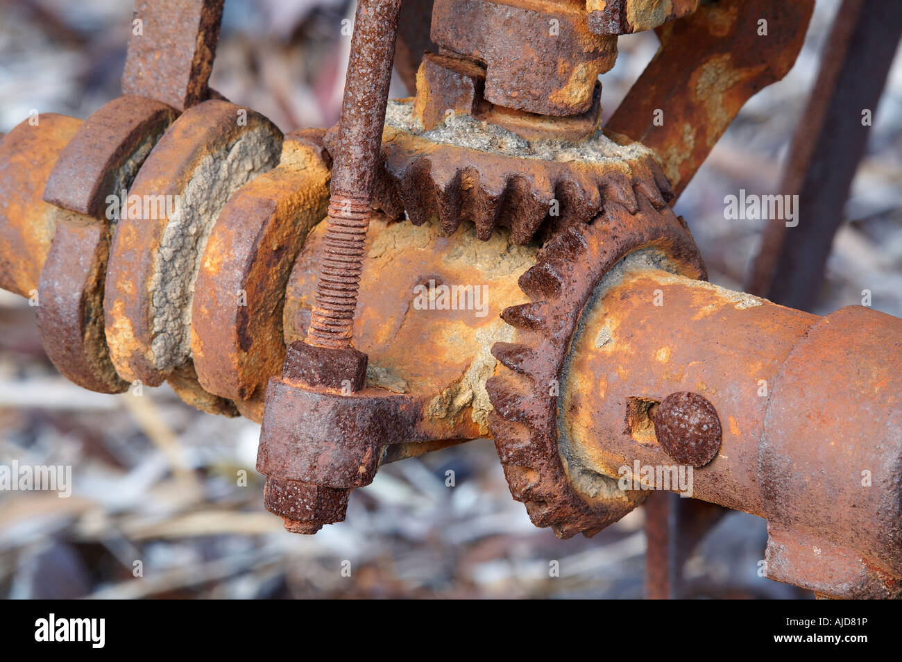rusty old bevel gear drive seized up on antique farm machinery Stock ...