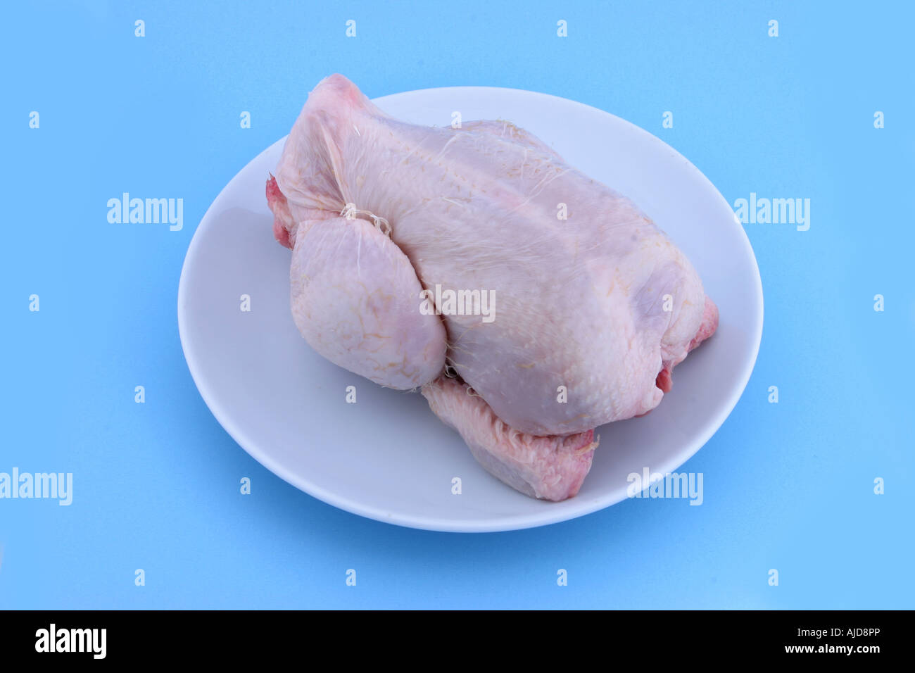 Uncooked whole chicken on a blue studio background Stock Photo - Alamy