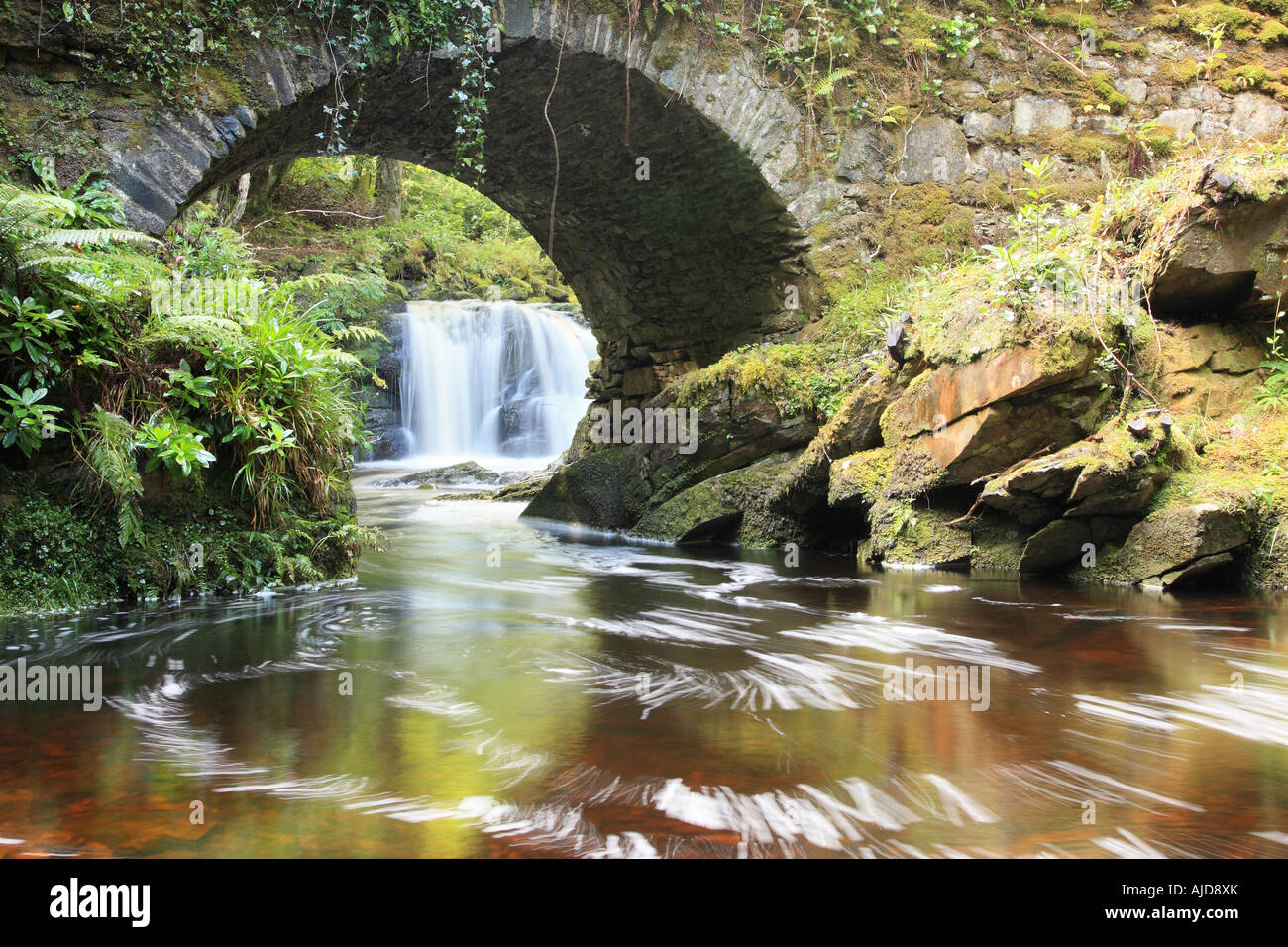 lush river and waterfall under bridge, Torc waterfall in Killarney ...