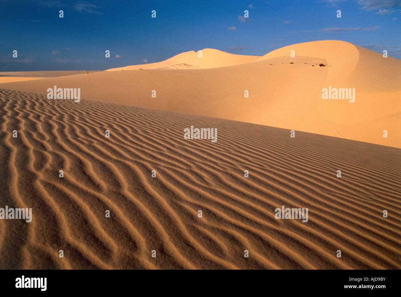 Sand da ne hi-res stock photography and images - Alamy