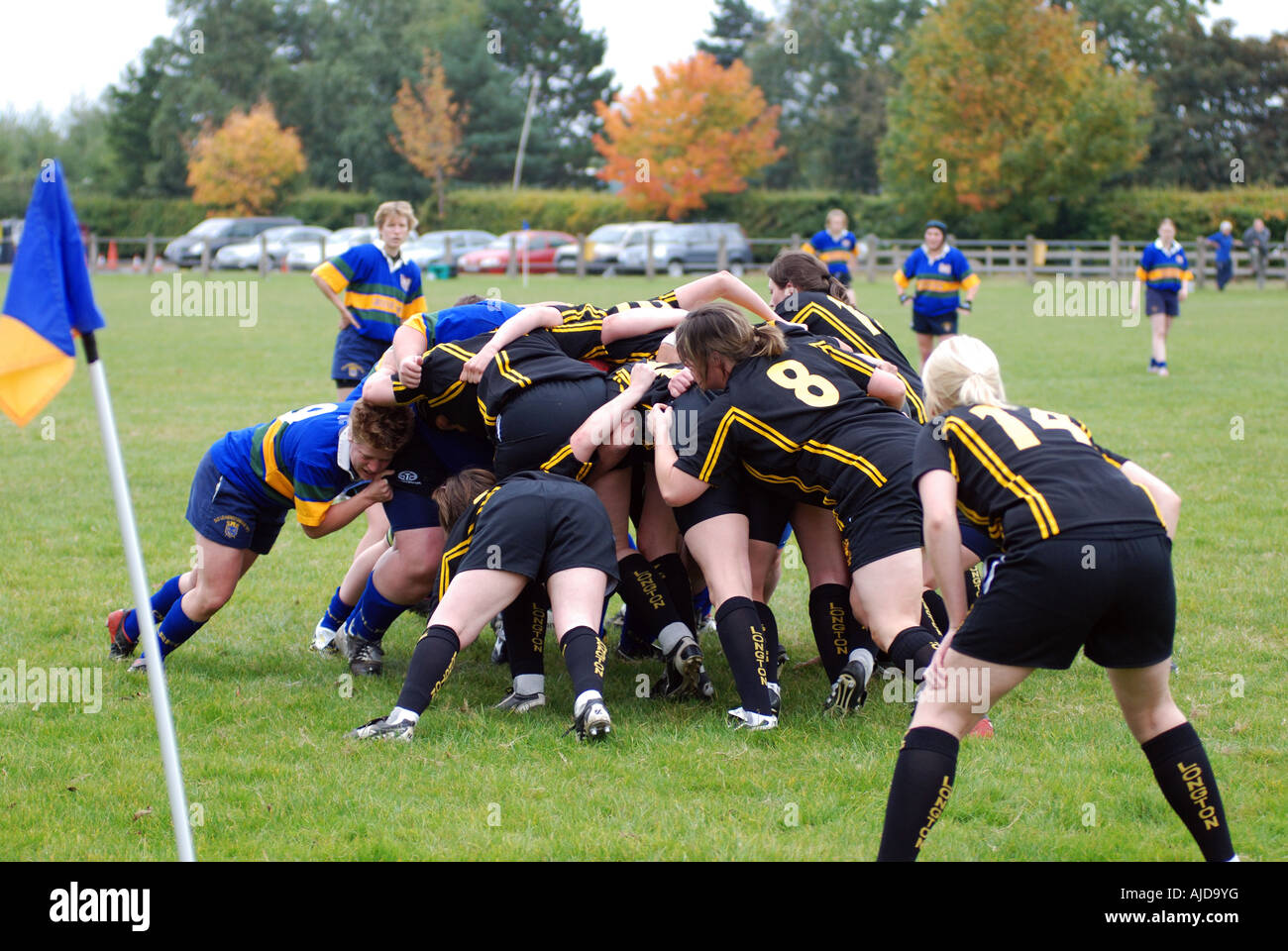 Women`s Rugby Union at club level, Leamington Spa, England, UK Stock ...