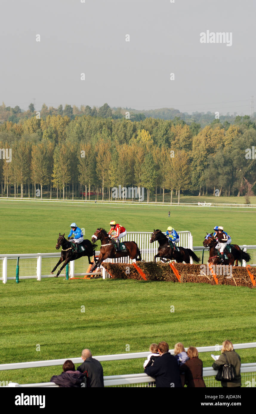 Towcester racecourse hi-res stock photography and images - Alamy