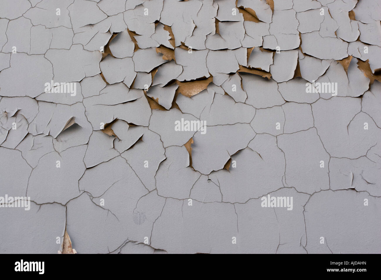 Peeling paint on a wall Stock Photo - Alamy