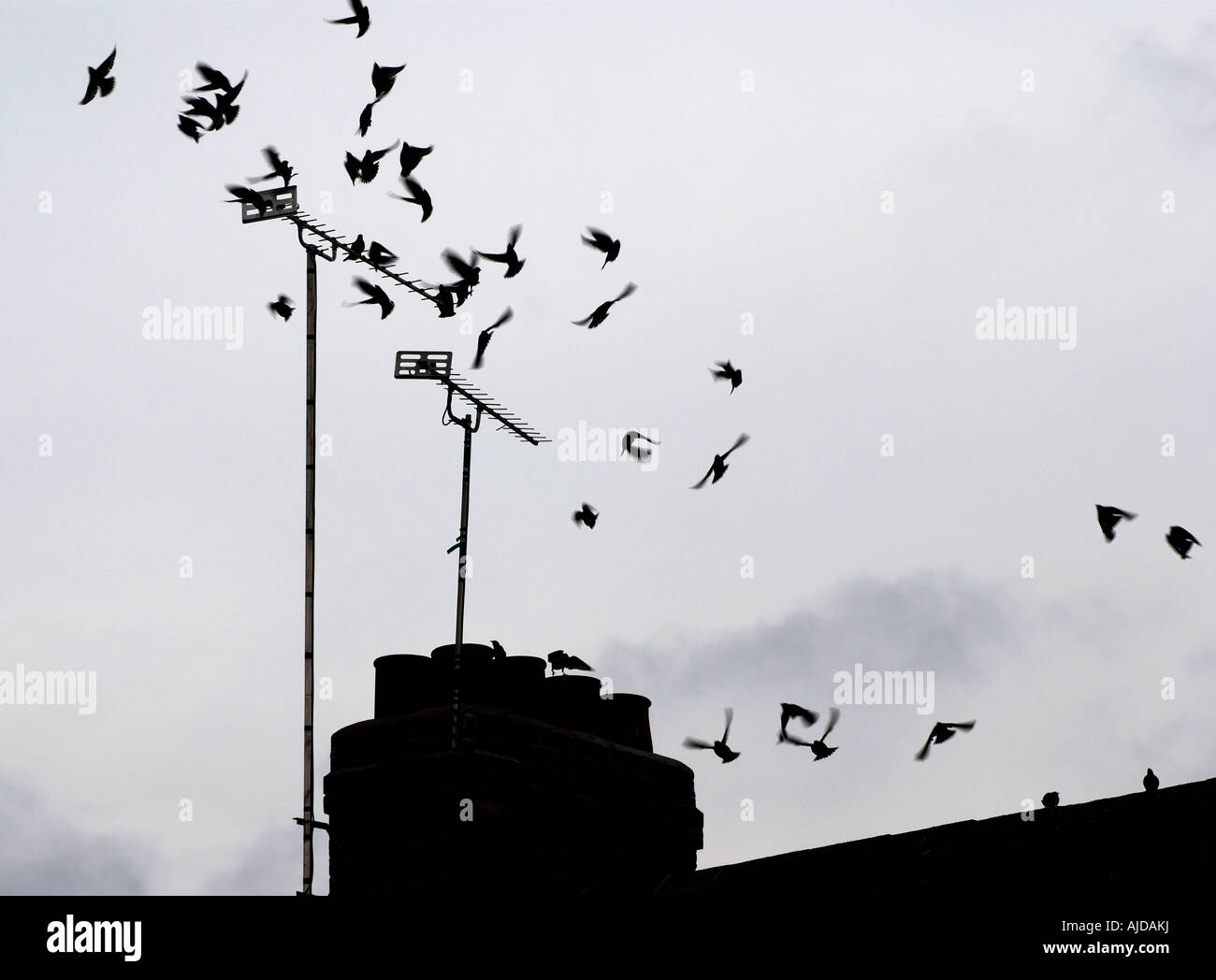 Flying tv hi-res stock photography and images - Alamy