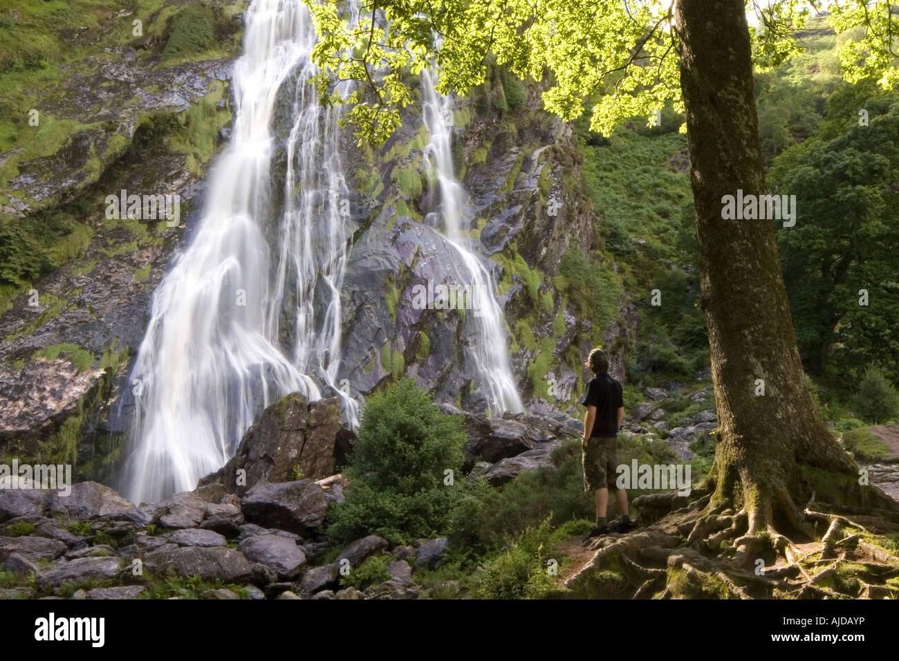 powerscourt waterfall, dublin, ireland Stock Photo - Alamy
