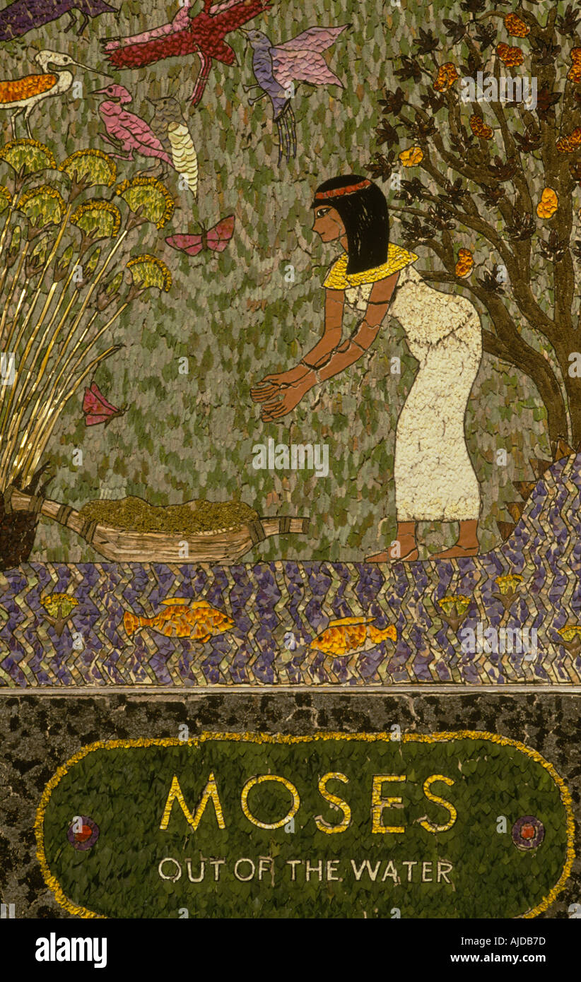 Image of Moses Out of Water floral board made of flower petals. Well ...