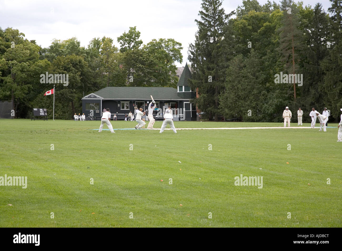 Cricket canada hi-res stock photography and images - Alamy