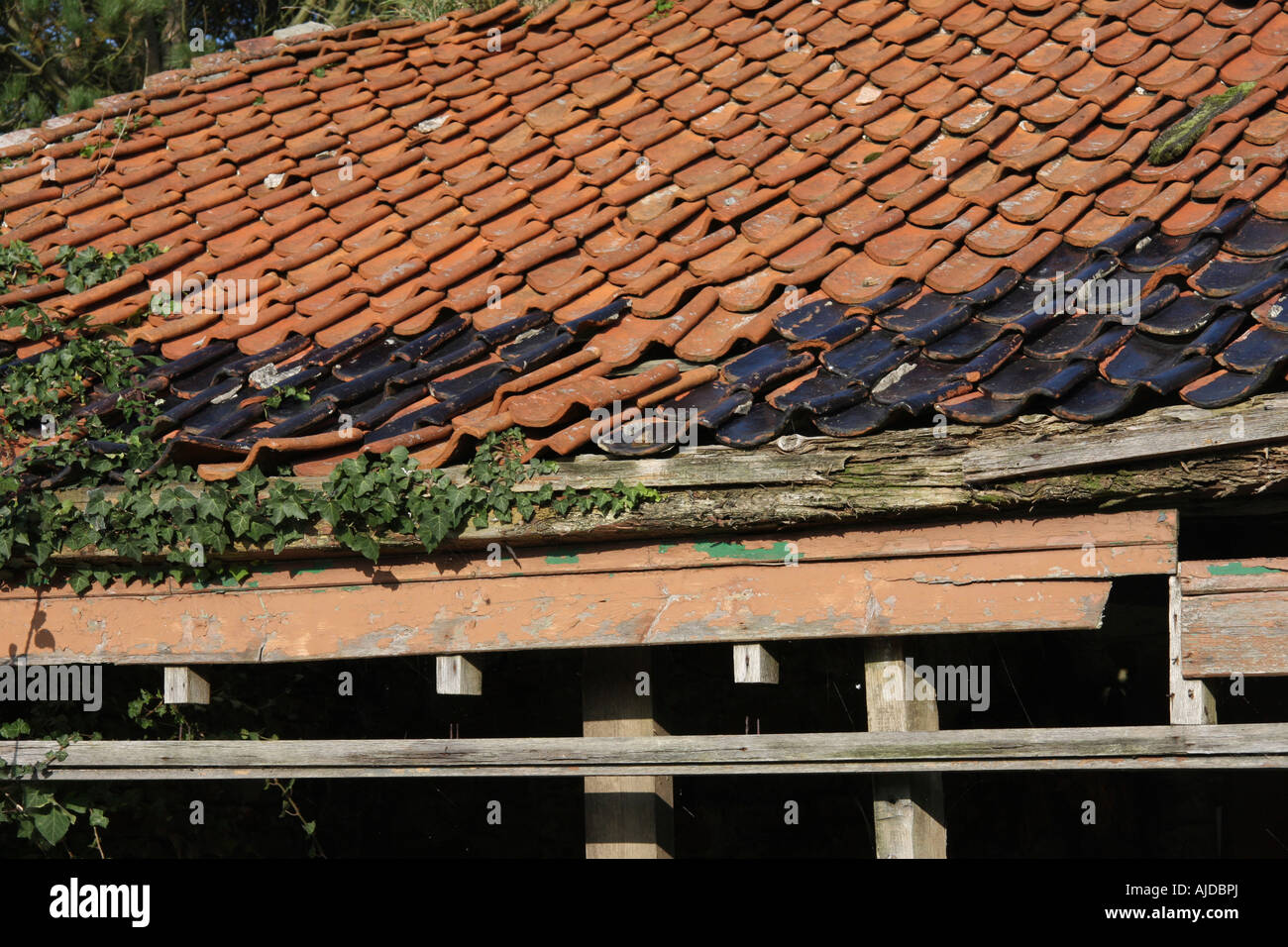 Rotten beam hi-res stock photography and images - Alamy