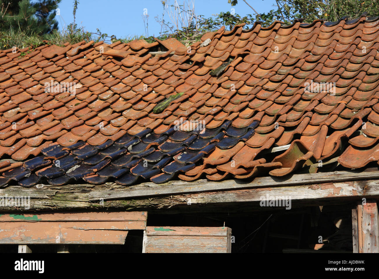 Rotten leaky roof hi-res stock photography and images - Alamy