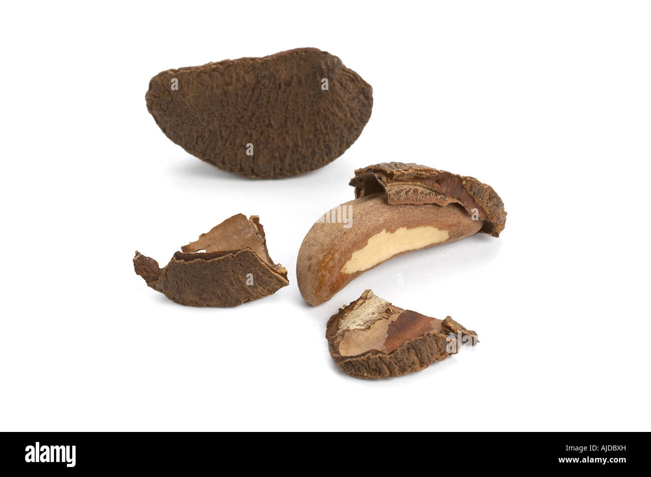 Brazil nut hi-res stock photography and images - Alamy