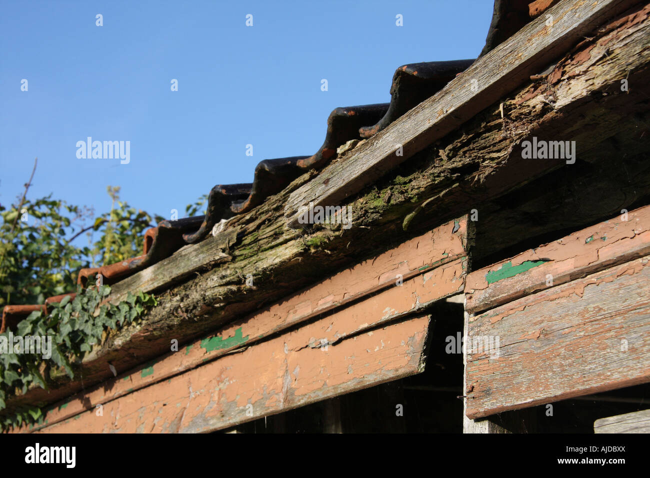 Rotten leaky roof hi-res stock photography and images - Alamy