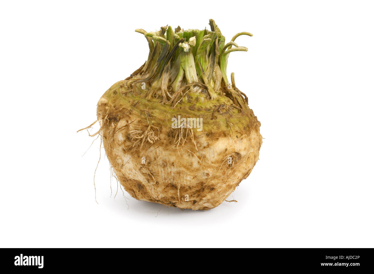 Celeriac Cut Out Stock Images & Pictures - Alamy