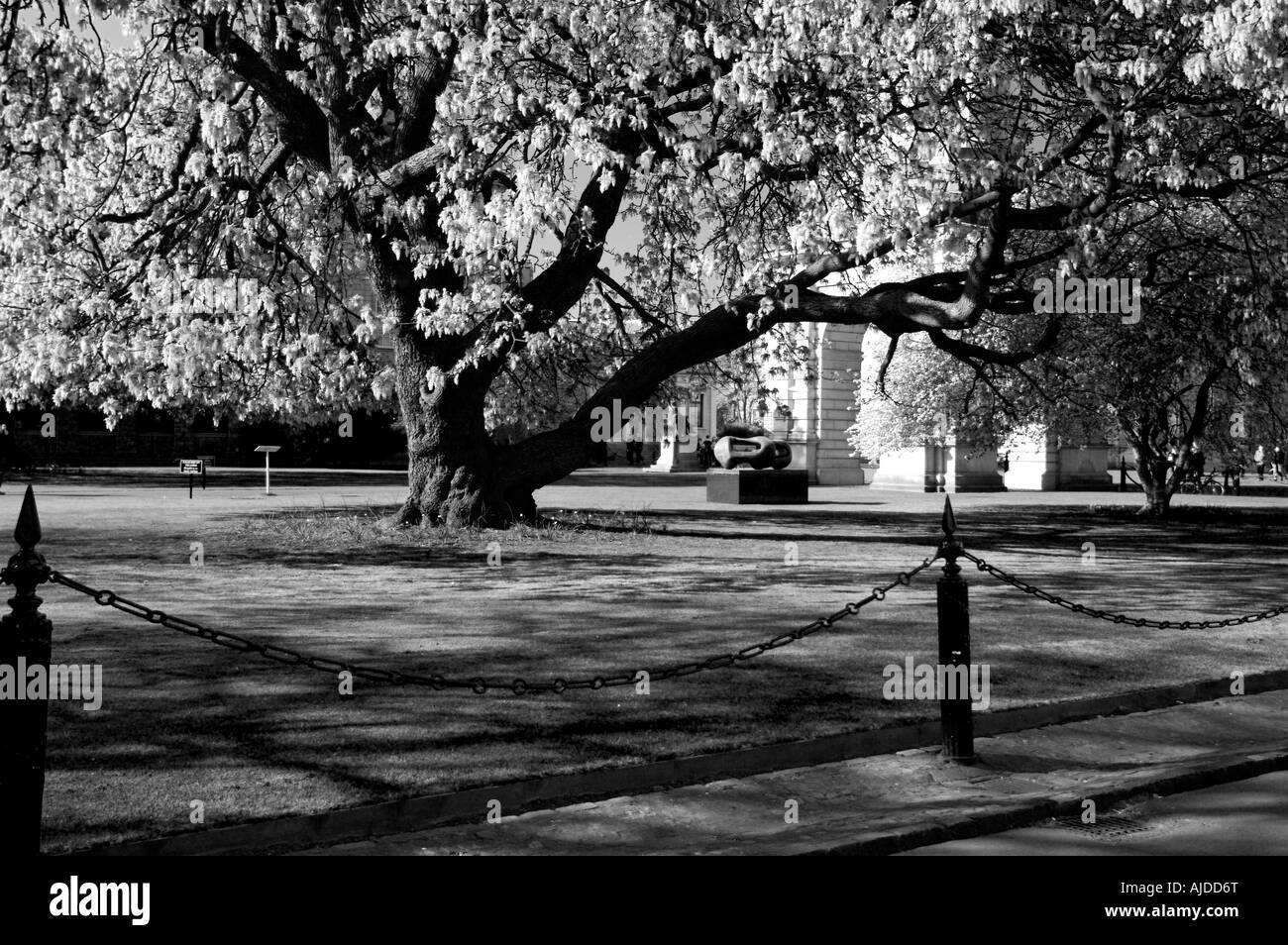 Chain link fence in Trinity College Dublin Ireland Eire Stock Photo - Alamy