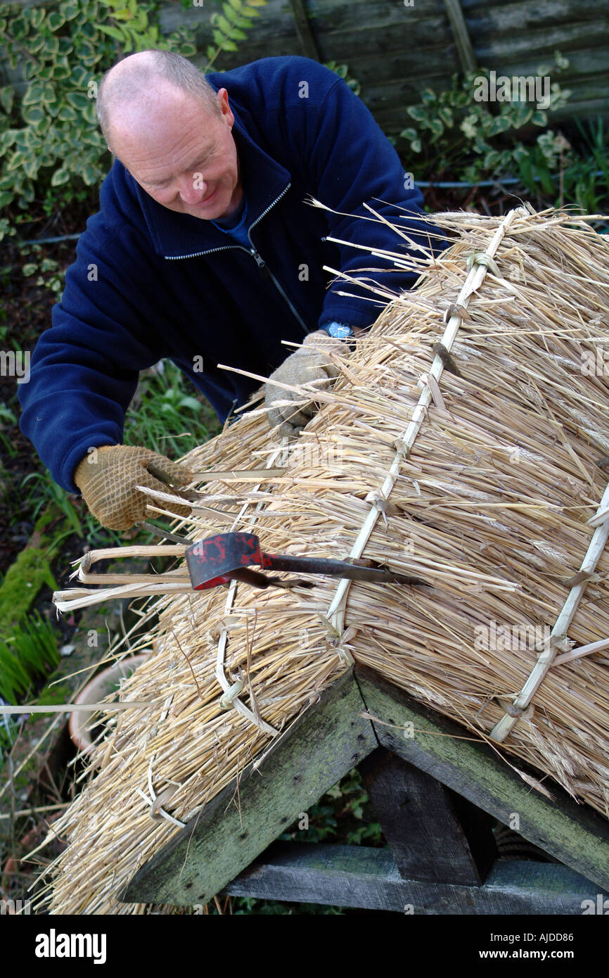 Thatcher Working on water Well covering Placing Hazel Spars English ...