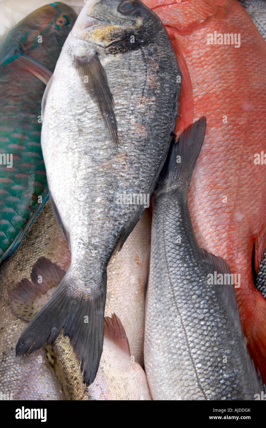 tray of fish Stock Photo - Alamy