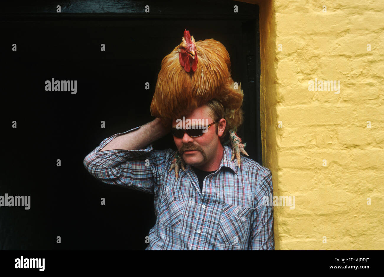 Man posing with large Rooster on his head Stock Photo - Alamy