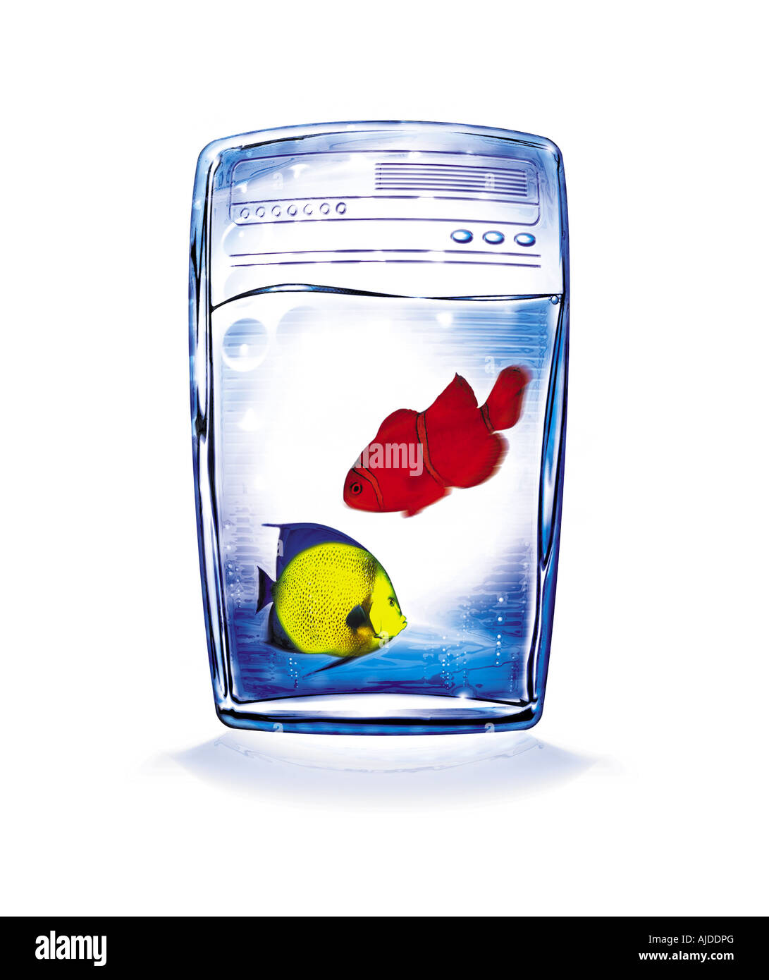 Aquatic plants bowl Cut Out Stock Images & Pictures - Alamy