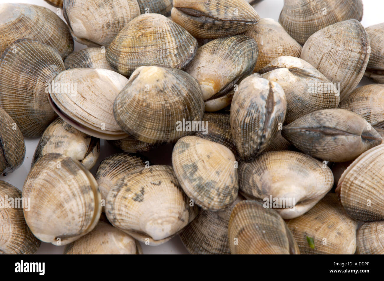 Cockles hi-res stock photography and images - Alamy