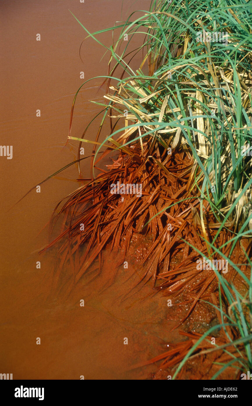 Iron staining polluting canal water near steelworks Newport South Wales ...