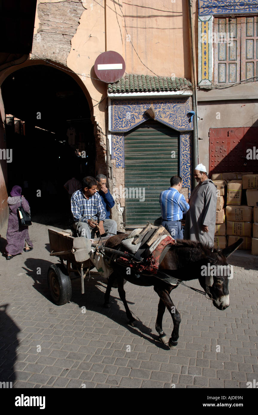 Donkey cart marrakech morocco north hi-res stock photography and images ...