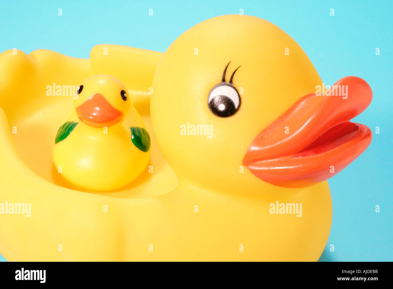 Rubber Duckling in Duck Soap Dish Stock Photo - Alamy