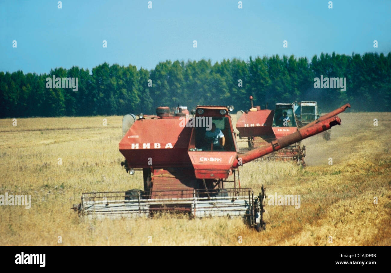 Combines are reaping a wheaten field Altai Russia Stock Photo - Alamy
