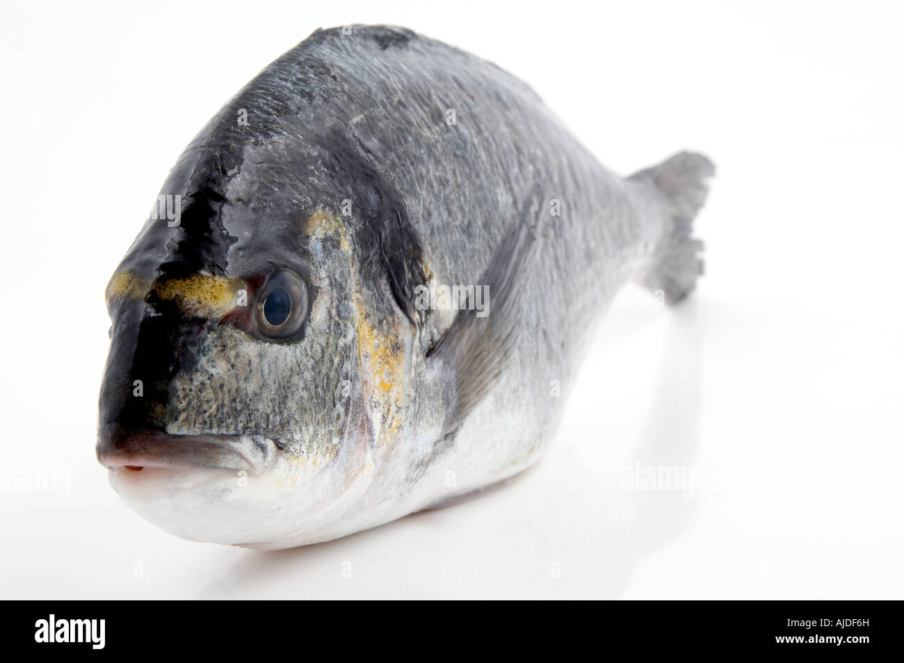 Fresh up Cut Out Stock Images & Pictures - Alamy