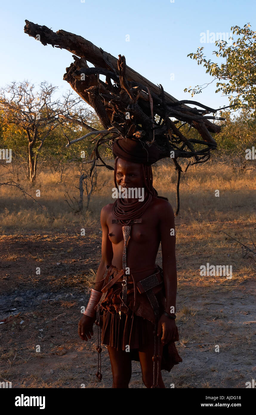 Namibia Kaokoland Himba people Himba women carrying fire wood covered ...
