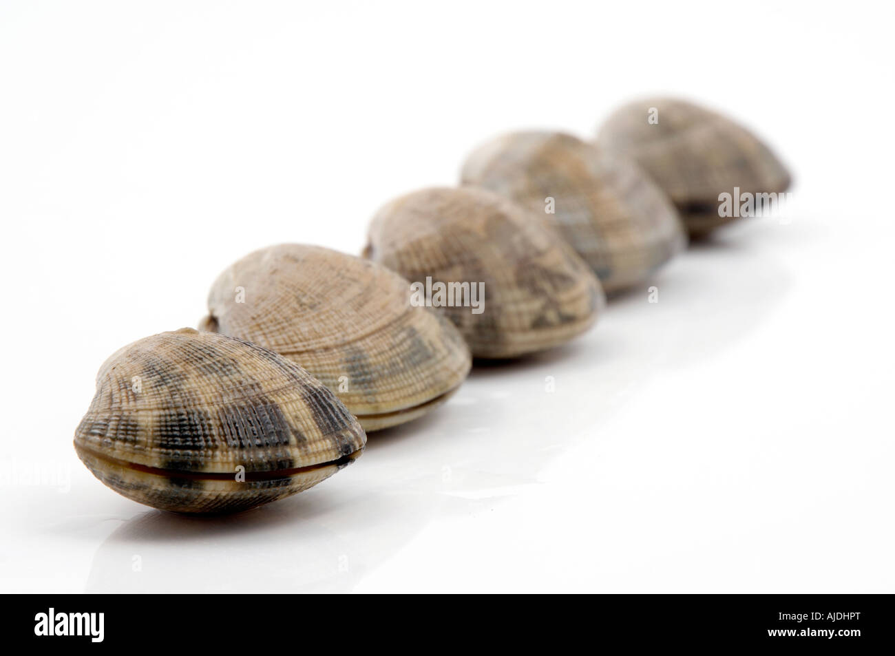 Cooking cockles hi-res stock photography and images - Alamy