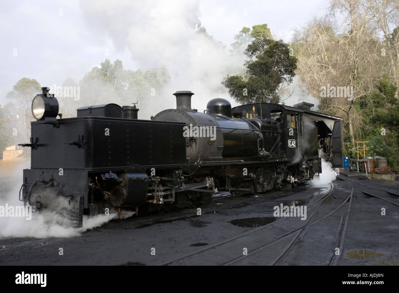 Puffing billy railway steam train hi-res stock photography and images - Alamy