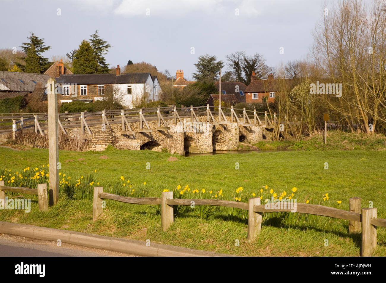 Tilford Surrey England UK Daffodils on green by old East Bridge ...
