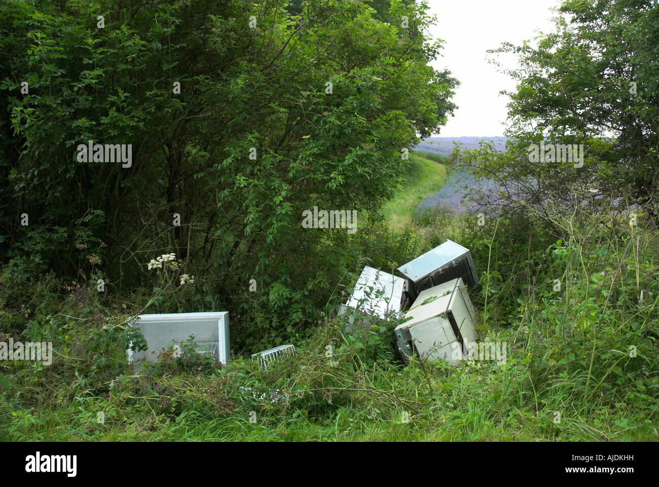 fly tipping fridges and fridge freezers into a hedgerow Stock Photo - Alamy