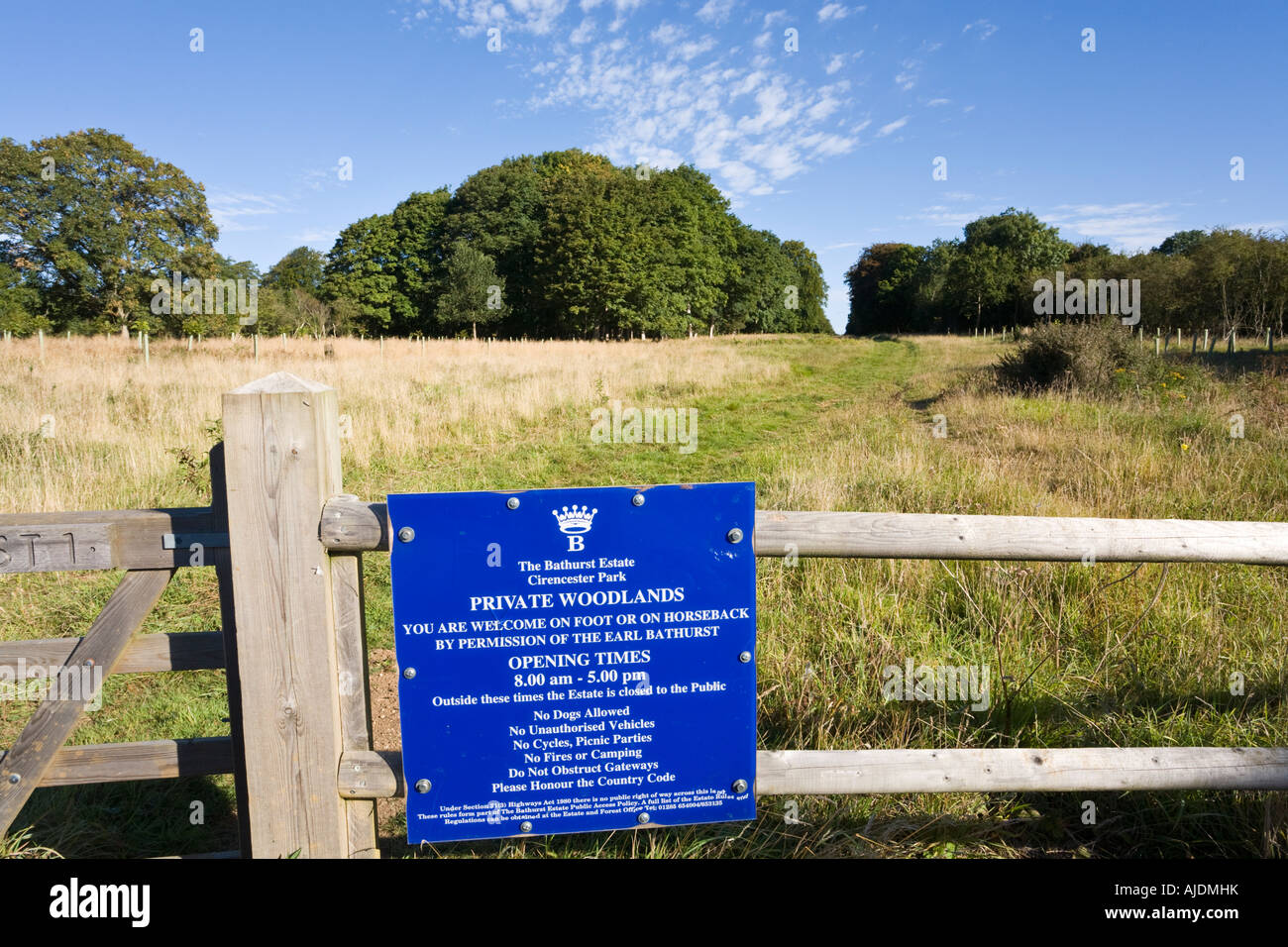 Overley Ride through Overley Wood on the Bathurst Estate in Cirencester ...