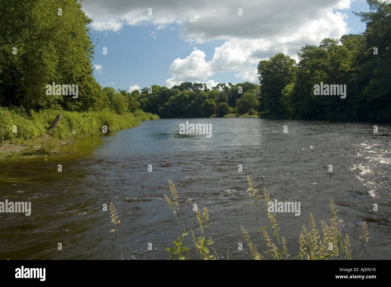 River Tweed in Scottish Borders Stock Photo - Alamy