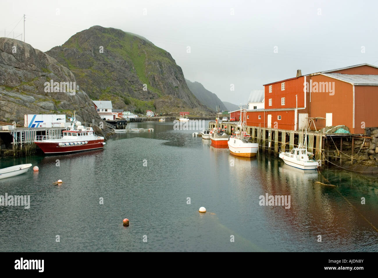 Fishing harbour at Mortsund, Lofoten Islands, Arctic Norway Stock Photo ...