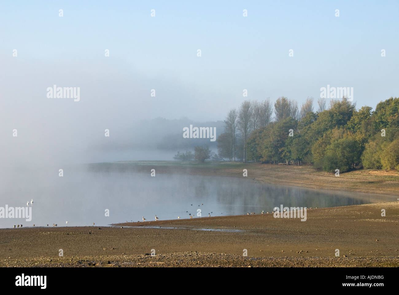 Mist over Bough Beech Reservoir, Bough Beech, Kent Stock Photo - Alamy