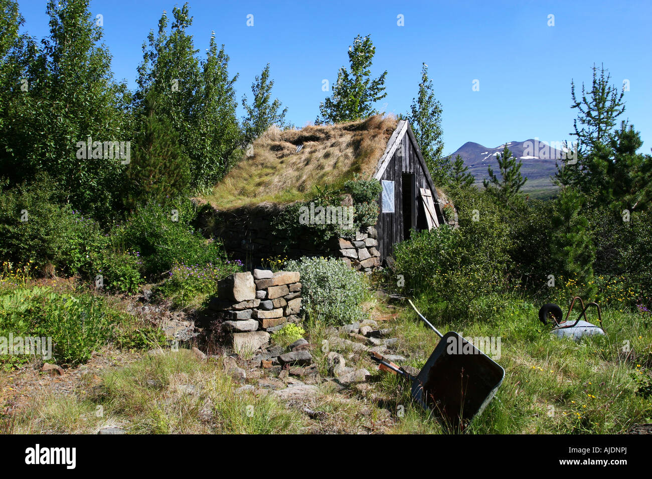 Old overgrown cabin in woods hi-res stock photography and images - Alamy