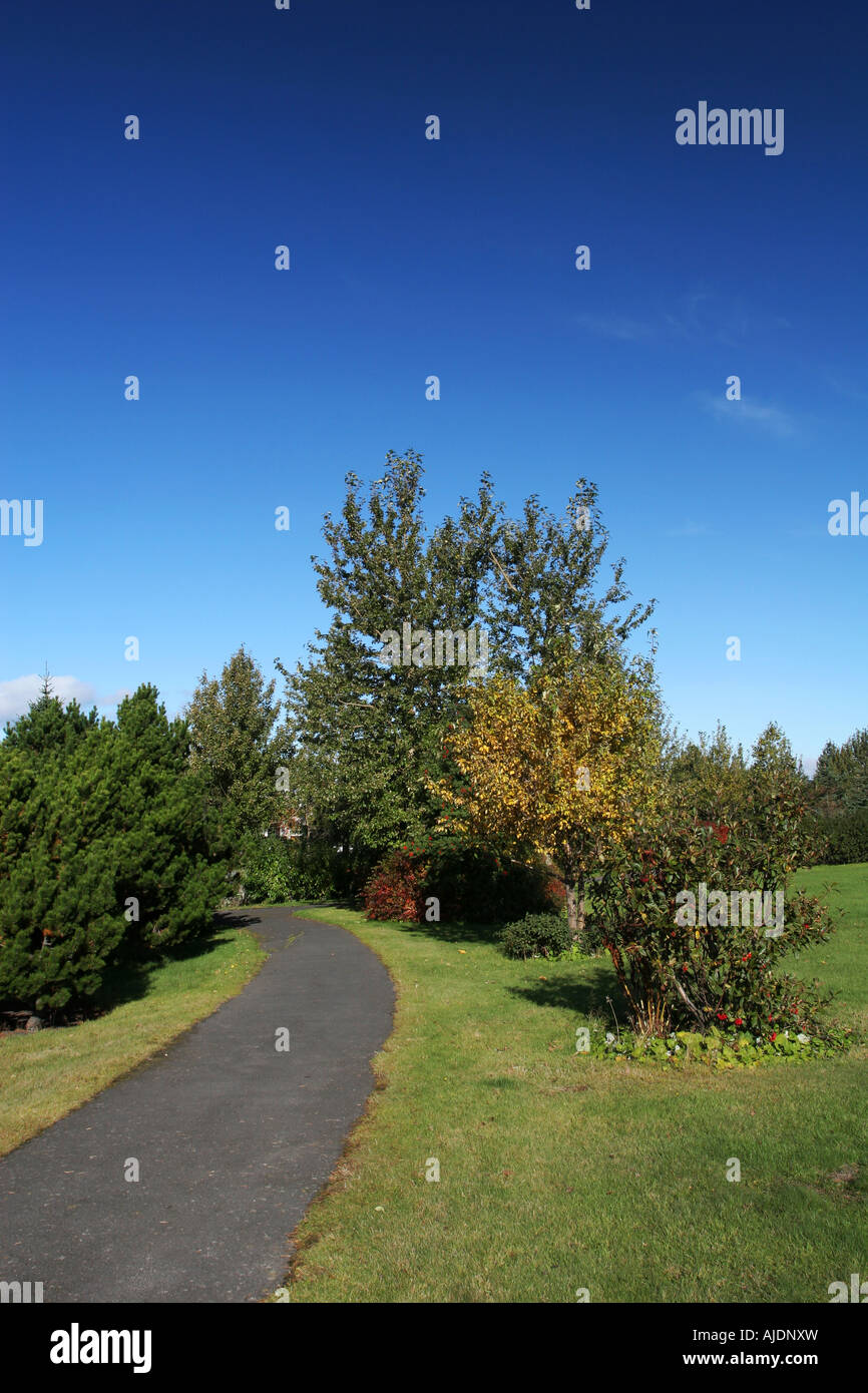a path leading to trees in autumn clear blue sky Stock Photo - Alamy