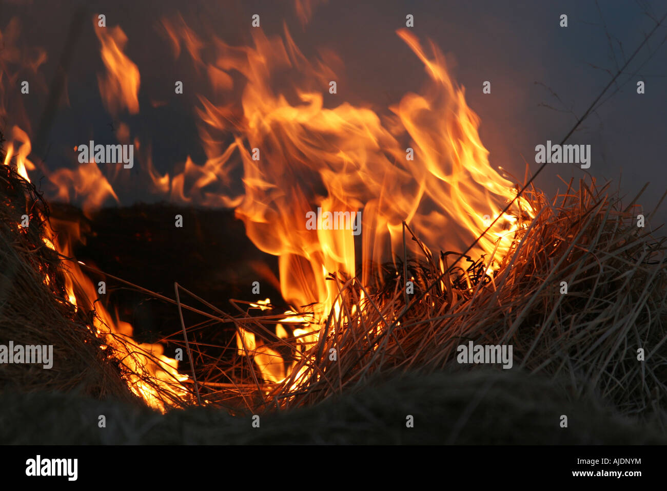Raging out of control hi-res stock photography and images - Alamy