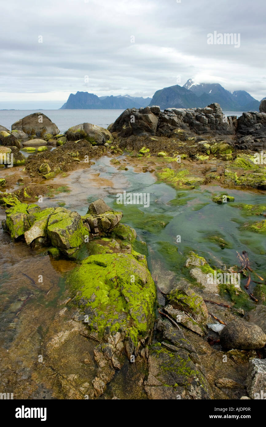 Rockpool on north coast of Flakstadoya, Lofoten Islands, with capes of ...