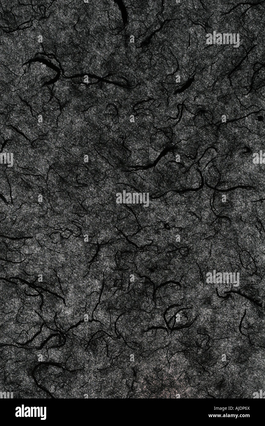 A close up of fiber silk paper lit from behind perfect for backgrounds ...