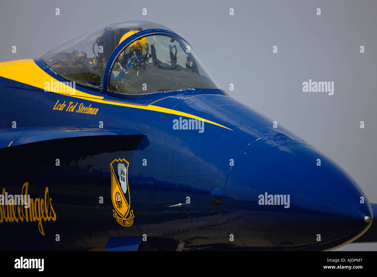 The Boeing F A 18 Hornet from the world renown United States Navy Blue ...